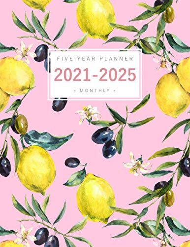 Five Year Planner 2021-2025: 8.5 x 11 Monthly Notebook Organizer Large ...