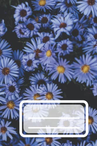 Motivational Notebook: Positive Journal, Notebook, Diary by Positive ...