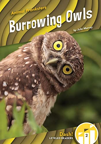 Burrowing Owls by Julie Murray | Goodreads