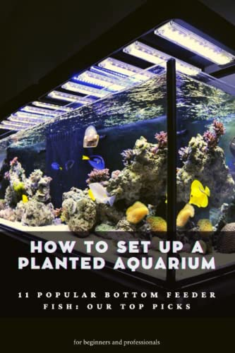 How to set up a planted aquarium: 11 popular bottom feeder fish: our ...