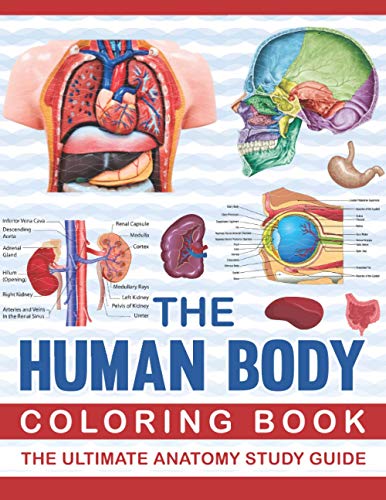 the-human-body-coloring-book-the-ultimate-anatomy-study-guide-an