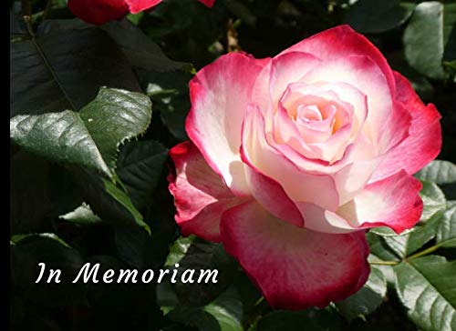 In Memoriam: Funeral Guest Book, Pink & White Rose, Condolence ...