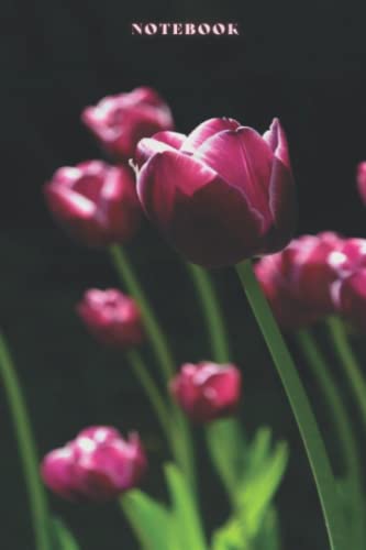 Notebook Flower: Flower notebook for girls, 6 x 9, block design: 220 ...