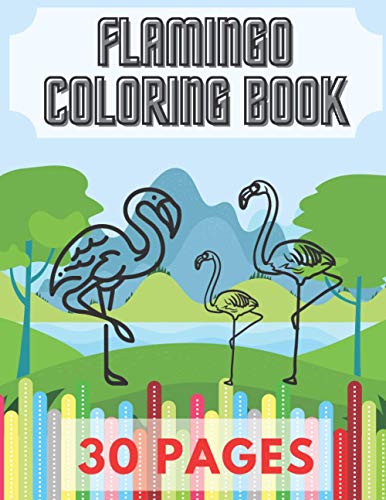 Flamingo Coloring Book: Gifts For Kids, Boys or Adults Relaxation. 30 ...
