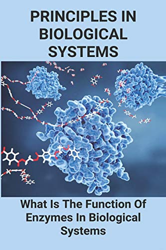 Principles In Biological Systems: What Is The Function Of Enzymes In ...