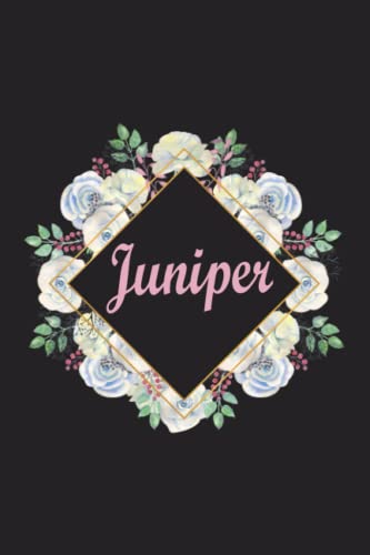 Juniper Notebook: Vesting the power of choice in women: Feminists ...