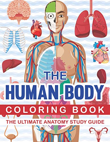 The Human Body Coloring Book The Ultimate Anatomy Study Guide: An ...