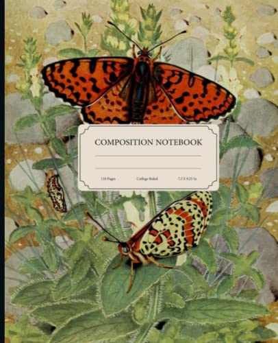 Composition Notebook: Vintage Butterflies Illustration Notebook ...