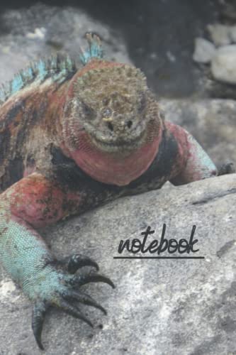 Wild Marine Iguana Notebook: A Perfect Gift for Marine Iguana Lovers ...