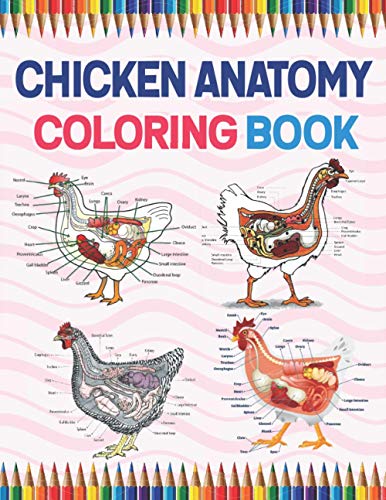 Chicken Anatomy Coloring Book: Introduction to Veterinary Anatomy and ...