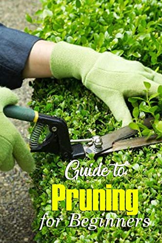 Guide to Pruning for Beginners: How to Pruning Tree by Mr Walter Price ...