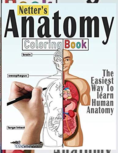 netter-s-anatomy-coloring-book-new-edition-anatomy-workbook-to-learn