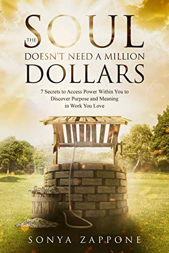 The Soul Doesn't Need a Million Dollars: 7 Secrets to Access Power ...
