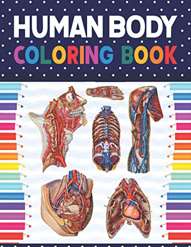 Human Body Coloring Book: Human Body Anatomy Coloring Book For Kids ...