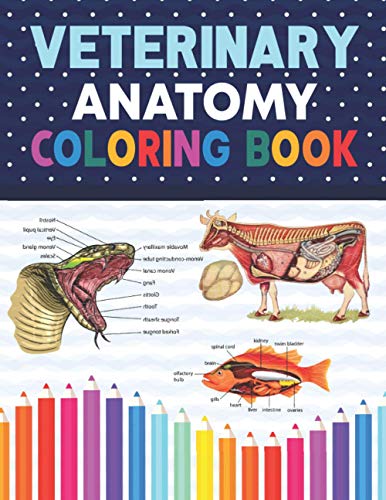 Veterinary Anatomy Coloring Book: Simple Animal Body Parts For Children ...