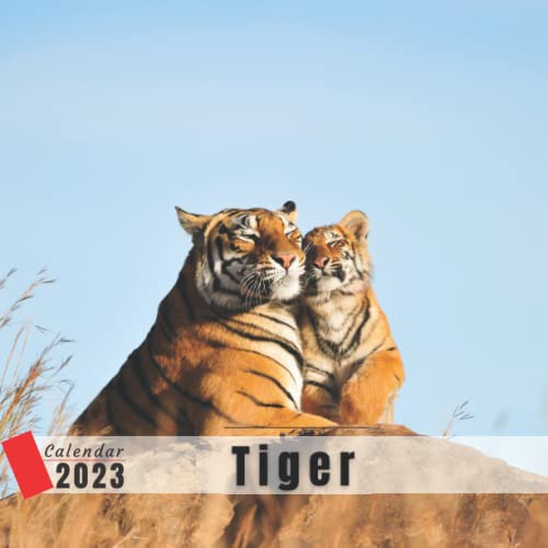 Tiger Calendar 2023: Daily, Weekly, Monthly 12 Month 2023 Calendar Grid ...