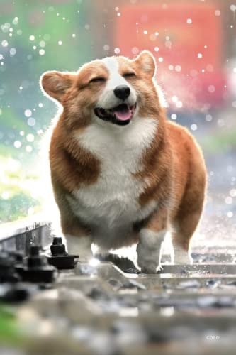 Corgi: Dog, Lined Notebook, Writing Journal, Diary, Notepad, 6 x 9, 120 ...