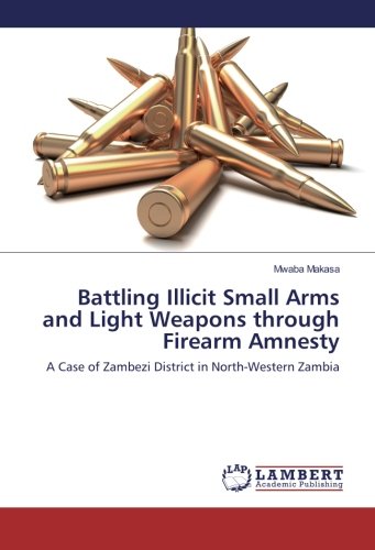 Battling Illicit Small Arms and Light Weapons through Firearm Amnesty ...