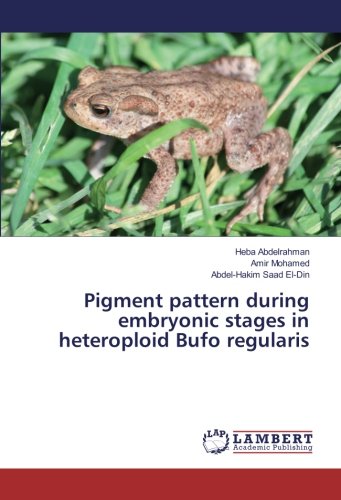Pigment pattern during embryonic stages in heteroploid Bufo regularis ...