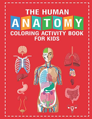 The Human Anatomy Coloring Activity Book For Kids: An Instructive Guide ...