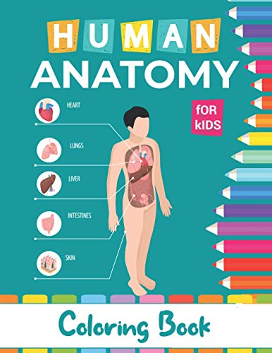 Human Anatomy Coloring Book For Kids: Human Body Anatomy & Physiology ...
