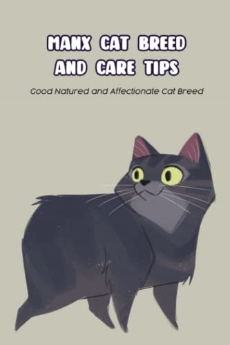Manx Cat Breed and Care Tips: Good Natured and Affectionate Cat Breed ...