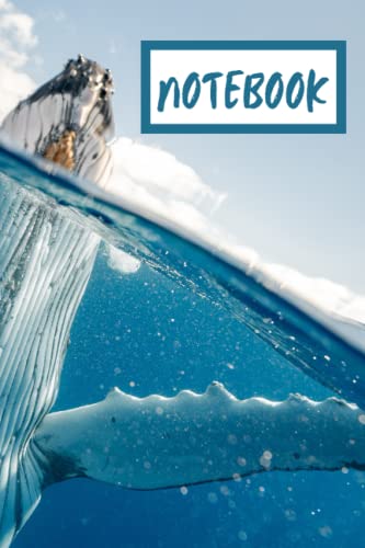 Humpback Whale Notebook: A Perfect Gift for Dolphin, Shark or Whale ...