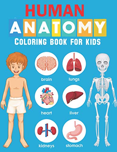 Human Anatomy Coloring Book For Kids: Human Body Parts Coloring Pages ...