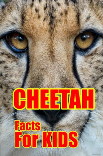 Cheetah Facts