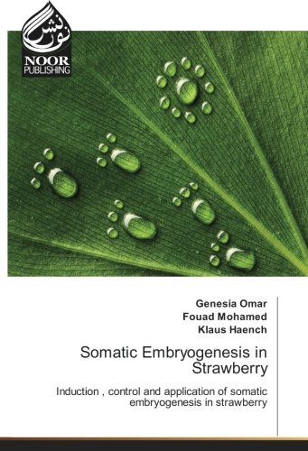 Somatic Embryogenesis in Strawberry: Induction , control and ...