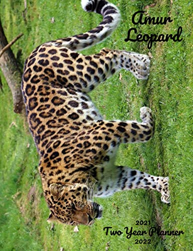 Amur Leopard 2021-2022 Two Year Planner: 2 Year Monthly Appointment ...