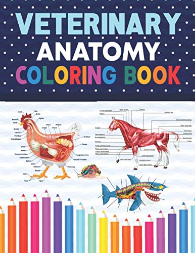 Veterinary Anatomy Coloring Book: Introduction to Veterinary Anatomy ...