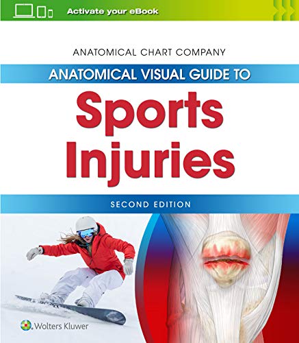 Anatomical Visual Guide to Sports Injuries by Anatomical Chart Company ...