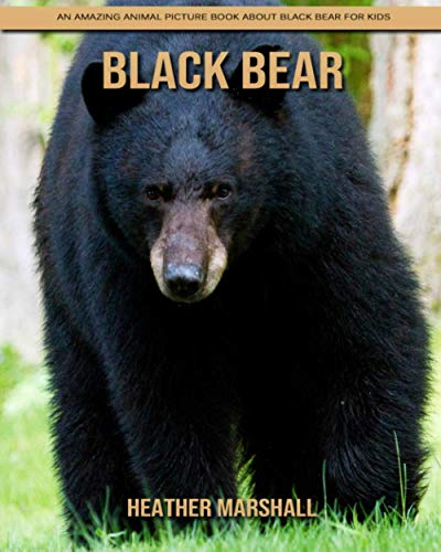 Black Bear: An Amazing Animal Picture Book about Black Bear for Kids by ...