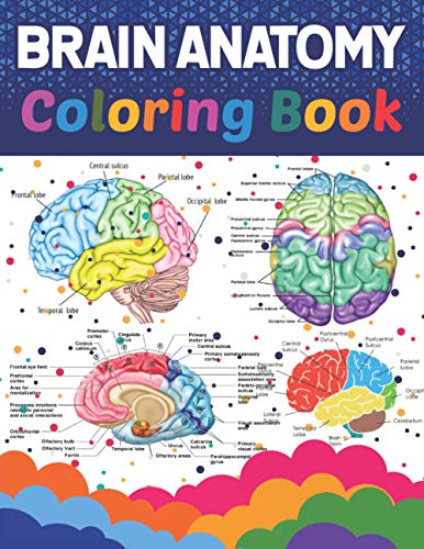 Brain Anatomy Coloring Book: The New Surprising Magnificent Learning ...