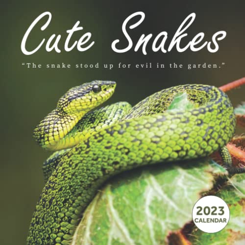 Cute Snakes Calendar: Beautiful 2023 Calendar Gift for Family, Friends ...