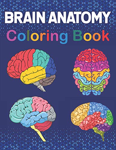 Brain Anatomy Coloring Book: Introduction to Human Brain Anatomy ...