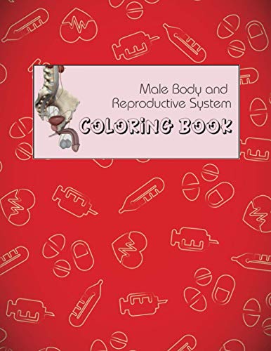 Male Body and Reproductive System Coloring Book: anatomy and physiology ...