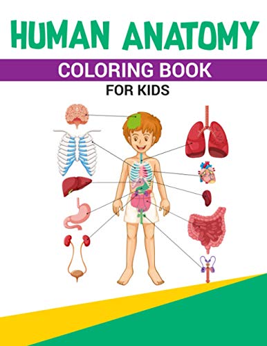 Human Anatomy Coloring Book for Kids: Over 50 Human Body Coloring ...
