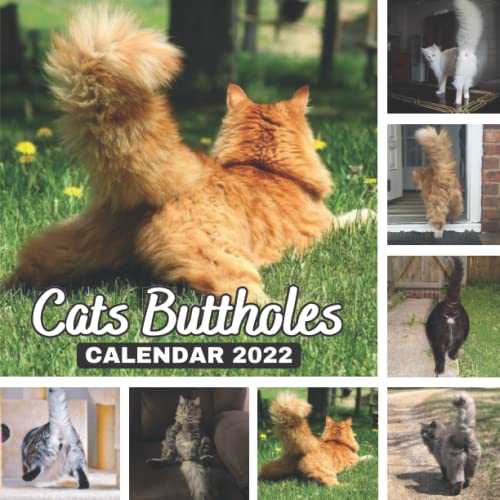 Cats Buttholes Calendar 2022: 2022 Cats Buttholes Calendar With Funny ...