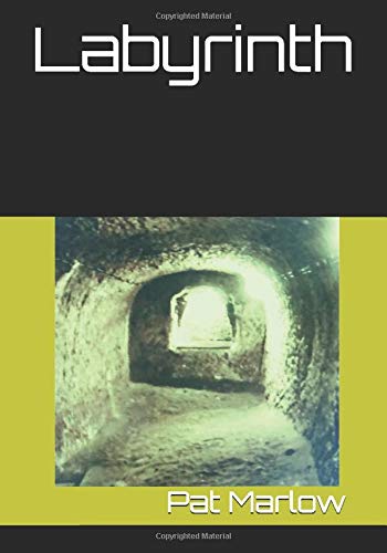 Labyrinth (The Charlie Knowles series) by Pat Marlow | Goodreads