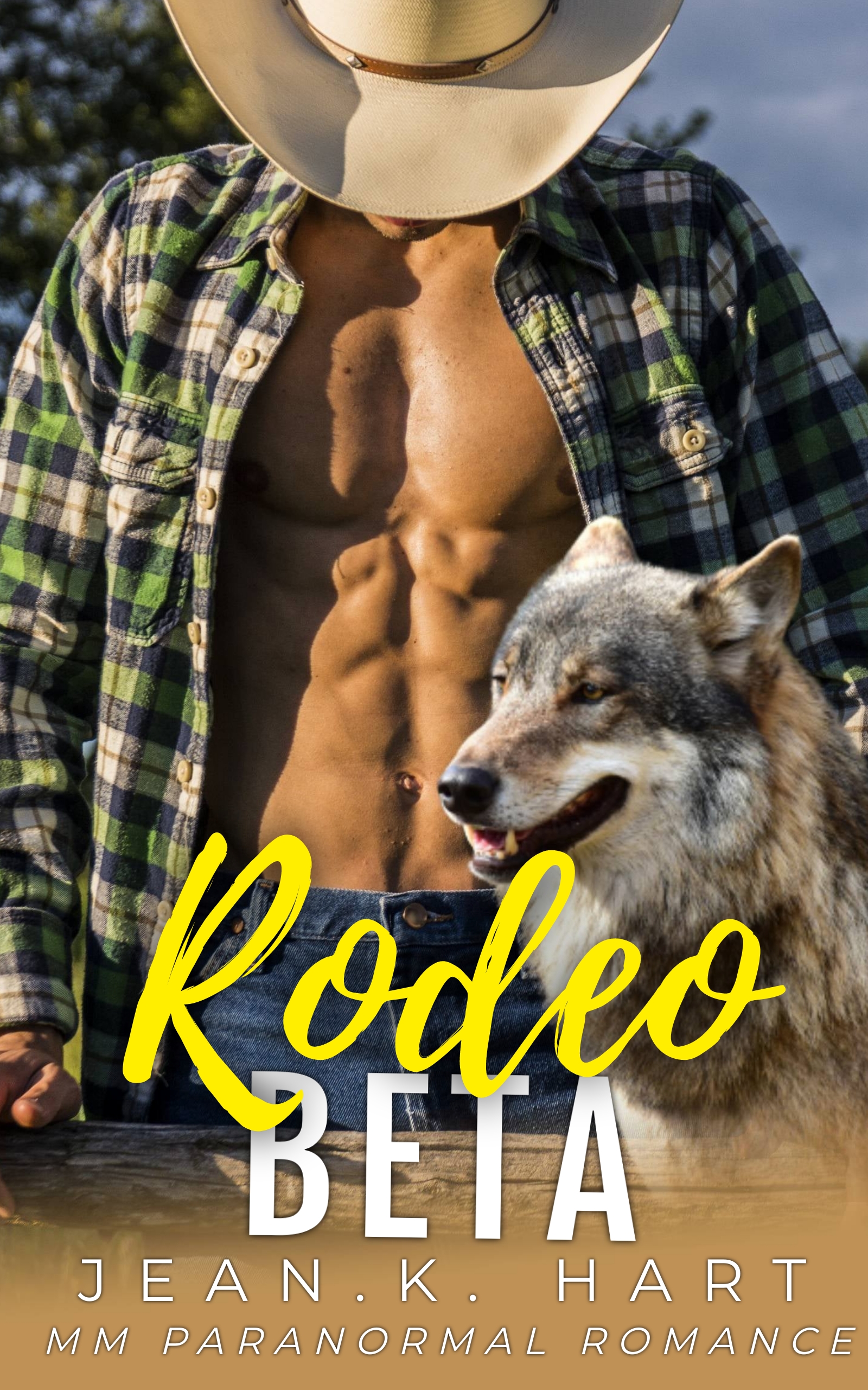 Rodeo Beta (Whiskey & Scars #2) by Jean K. Hart | Goodreads