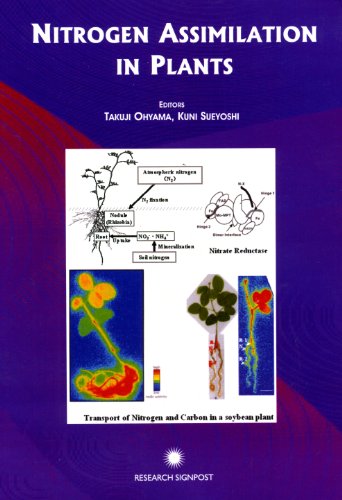 Nitrogen Assimilation in Plants by Editors: Takuji Ohyama and Kuni ...