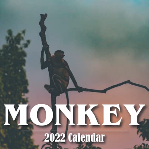Monkeys 2022 Calendar: A Monthly Mini Calendar For 2022 With Beautiful ...