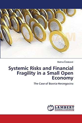 Systemic Risks and Financial Fragility in a Small Open Economy: The ...