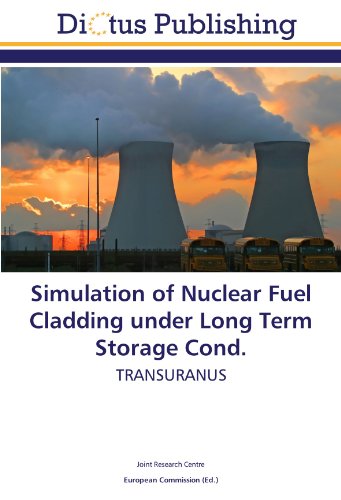 Simulation of Nuclear Fuel Cladding under Long Term Storage Cond ...