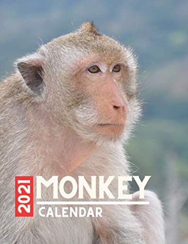 Monkey Calendar 2021: Planner and Calendar & important dates & save ...