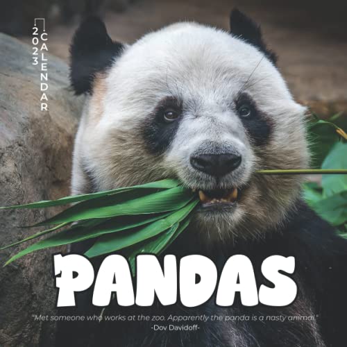 Pandas Calendar: Beautiful 18-month 2023 Calendar - Gift for Family ...