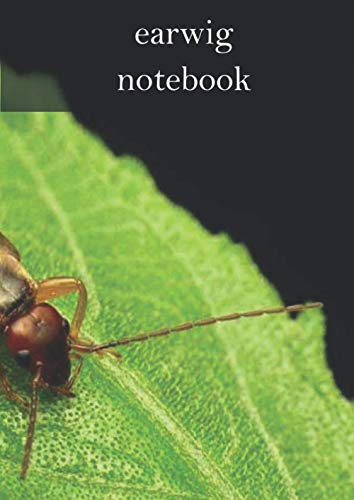 earwig notebook by hamza wike | Goodreads
