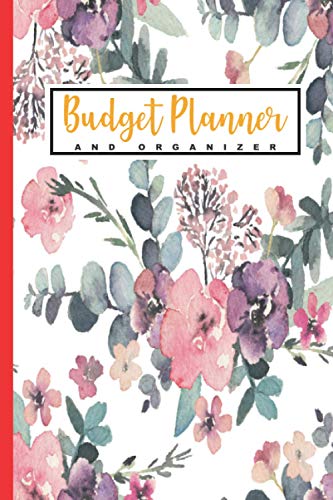 Budget Planner and Organizer: Weekly and Monthly Financial Organizer ...